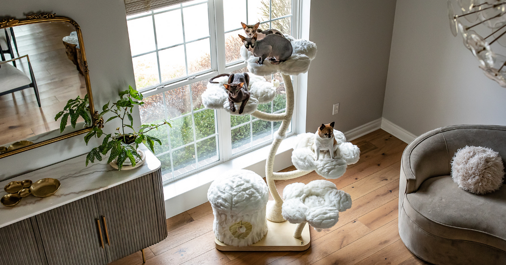Affordable and Stylish Cat Climbers for Every Home