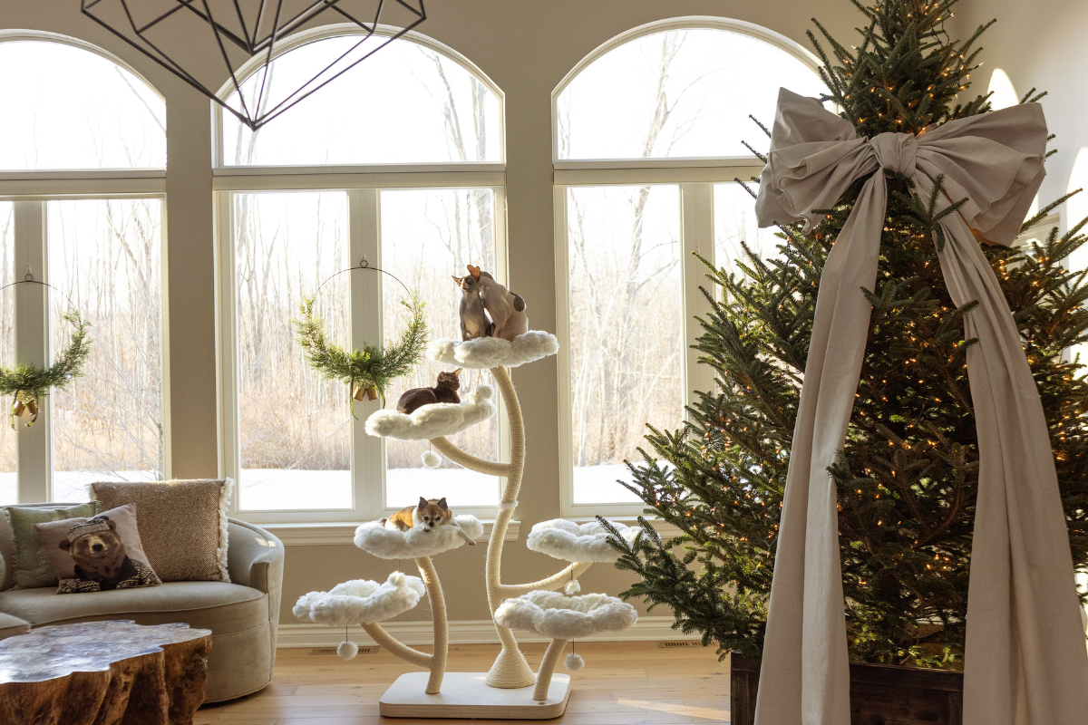 Holiday Gift Guide 2025 | Why a KBSPETS Cat Tree Is the Perfect Gift ...