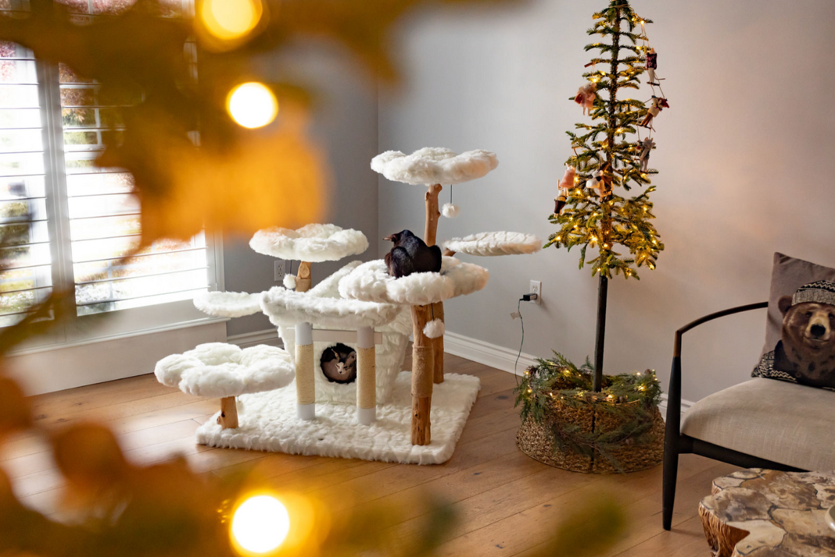 Black Friday Early Deal: $20 Off $200 + Free Flower Bed at KBS Pets