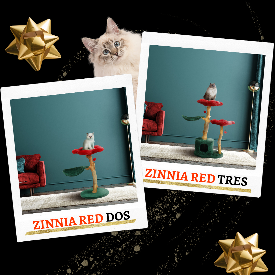 New Limited Zinnia Red Collection