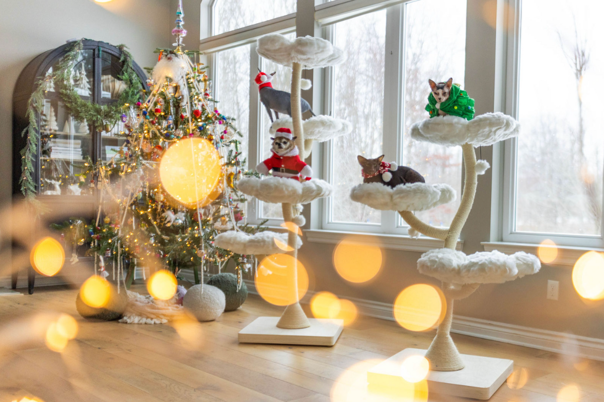 Cat Furniture Trends 2026: Modern & Luxury Cat Trees That Last – KBSPETS