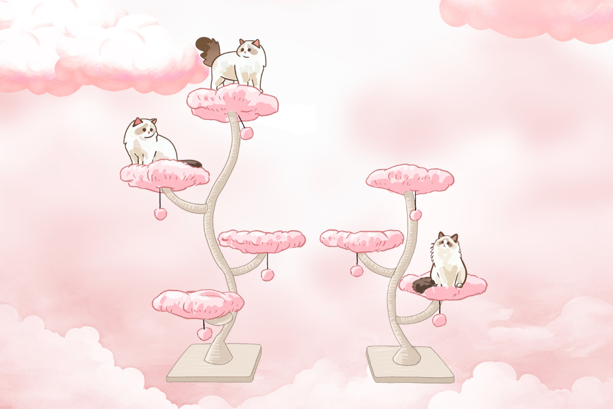 Valentine's Cat Trees 2026: Unboxing Review & Where to Buy | KBS Pets