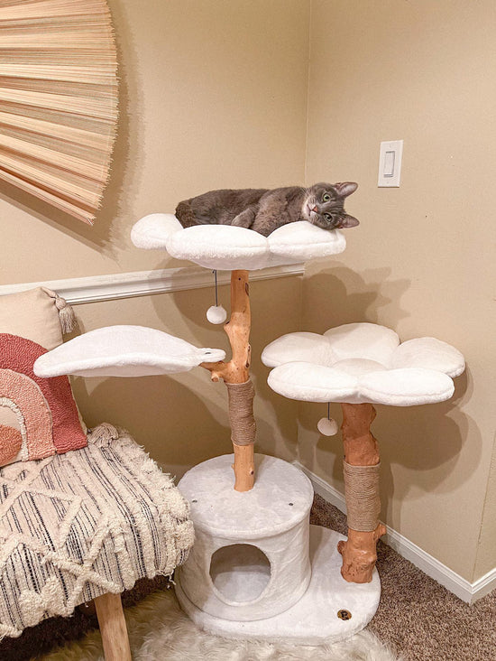 Cozy Plush Blanc Tres - KBS Floral Cat Tree – KBSPETS