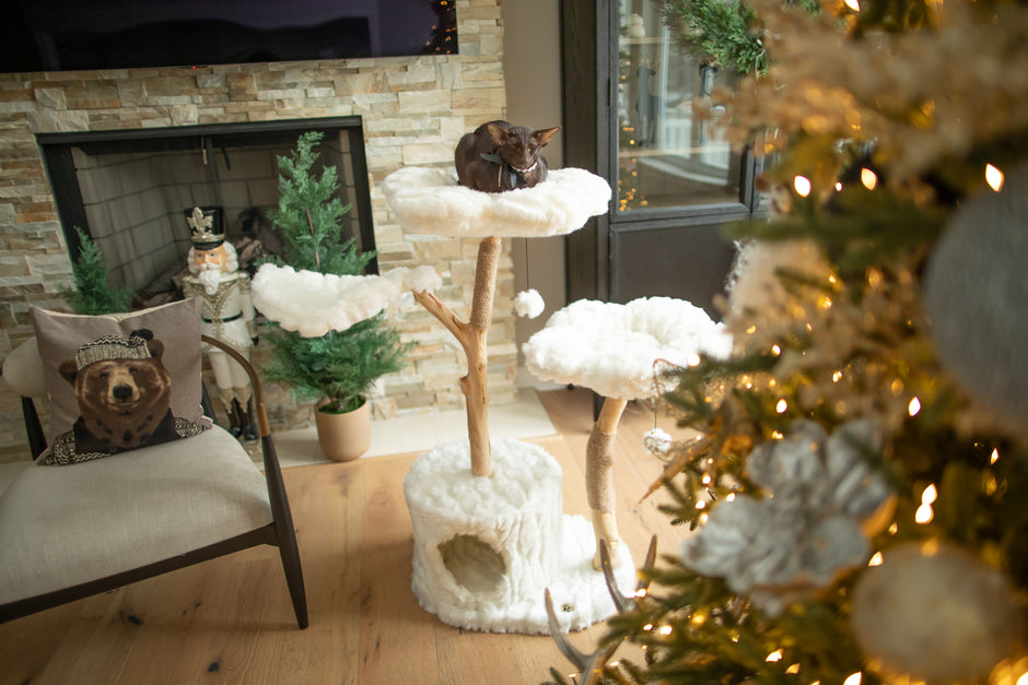 Modern Cat Tree, Luxury Cat Furniture, Flower Cat Tower | Kbspets – KBSPETS