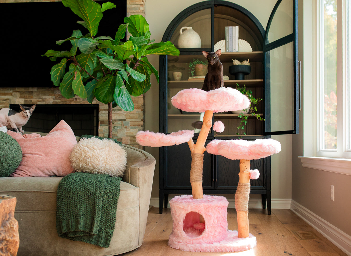 Modern Cat Tree, Luxury Cat Furniture, Flower Cat Tower | Kbspets – KBSPETS