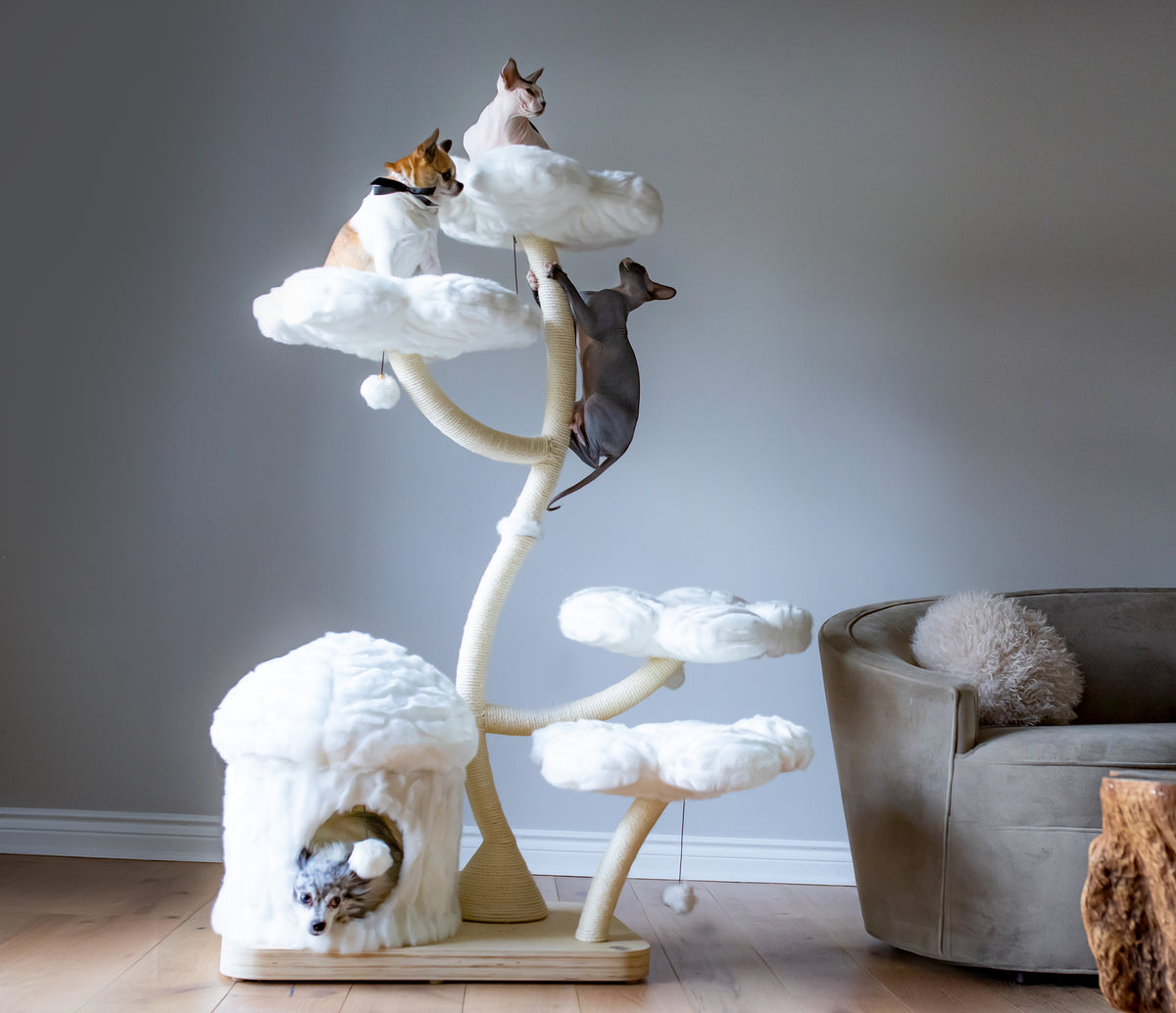 Modern Cat Tree, Luxury Cat Furniture, Flower Cat Tower | Kbspets