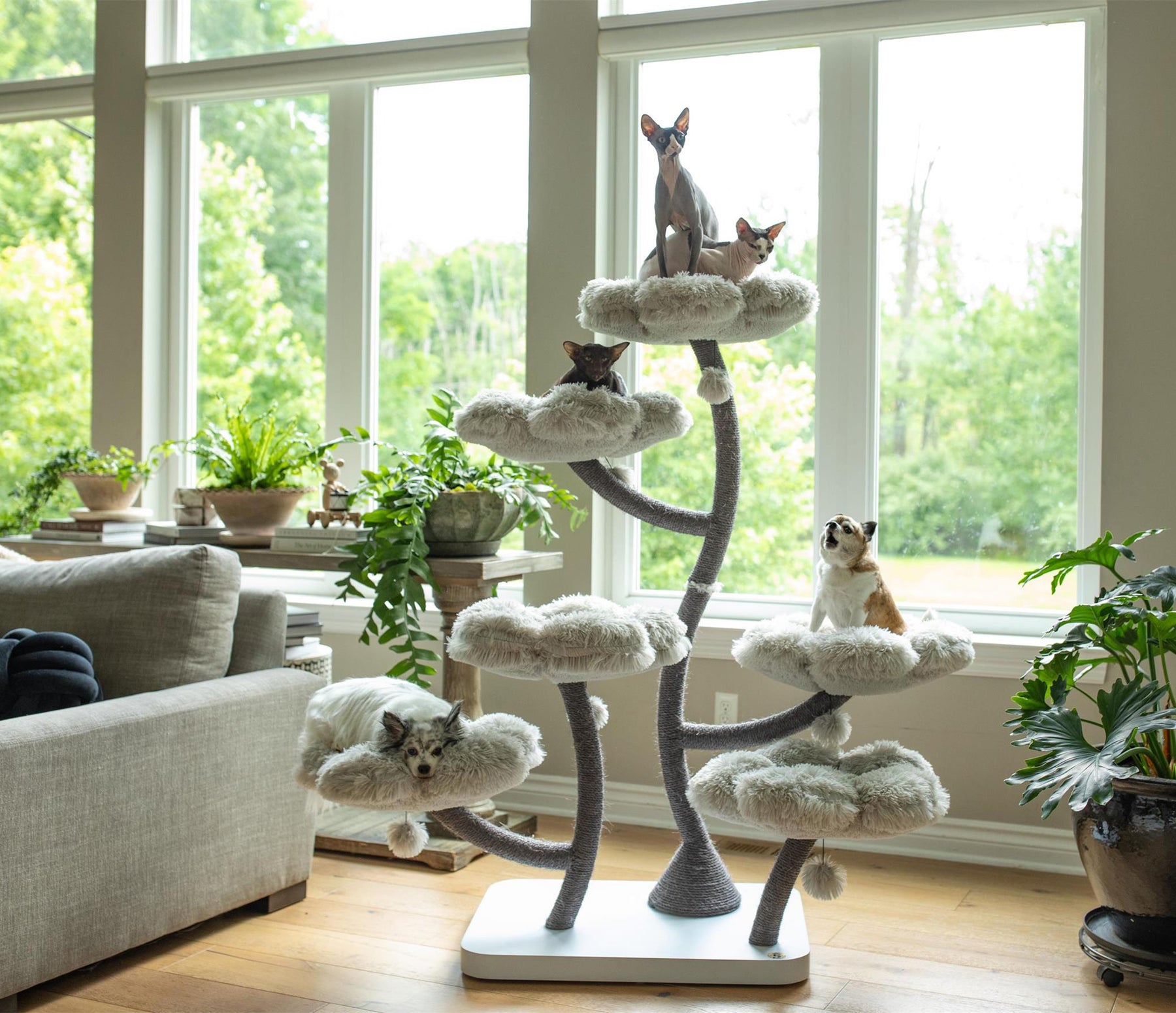Modern Cat Tree, Luxury Cat Furniture, Flower Cat Tower | Kbspets