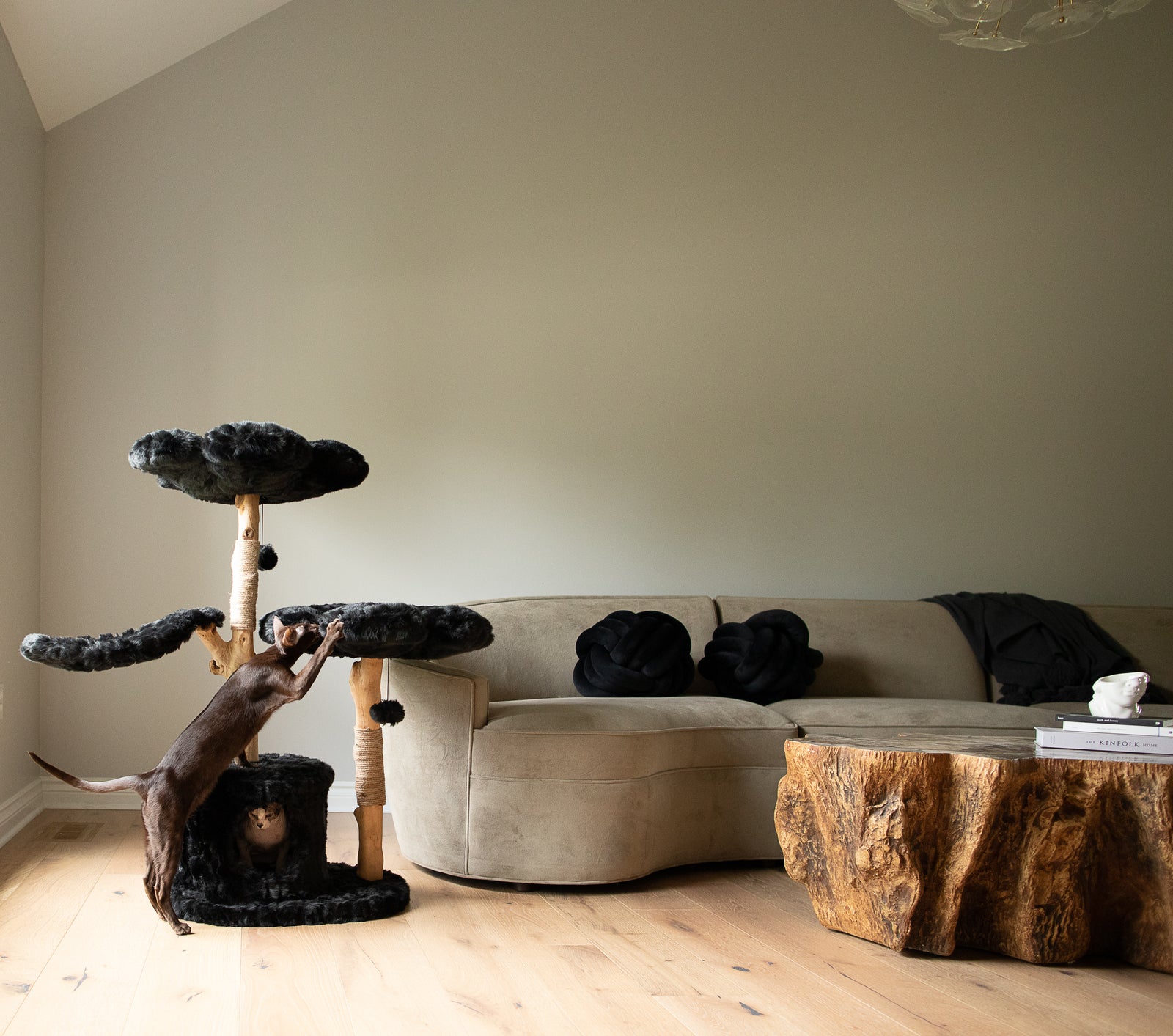 Modern Cat Tree, Luxury Cat Furniture, Flower Cat Tower | Kbspets