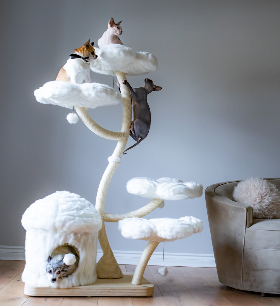 CHERRY BLOSSOM UNO - KBS FLORAL CAT TREE – KBSPETS