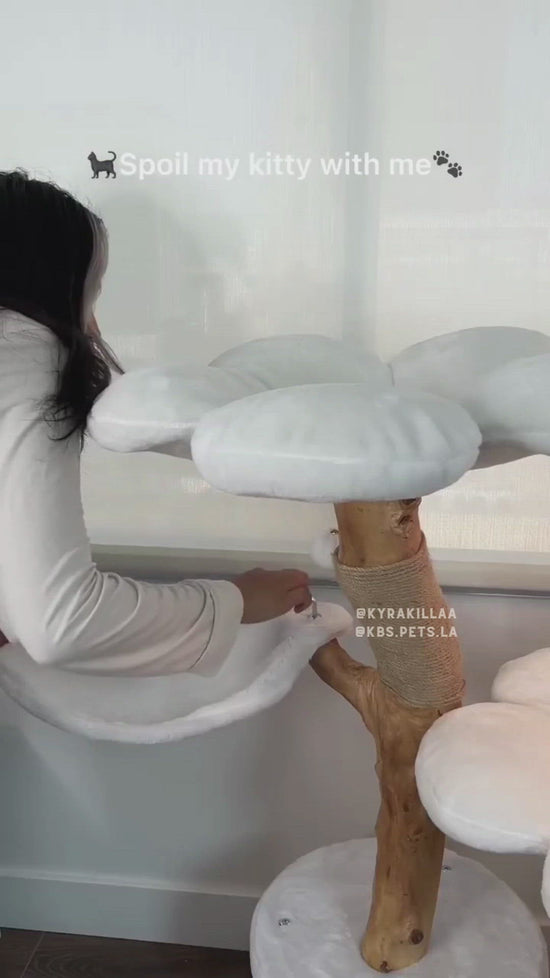 Cozy Plush Blanc Tres - KBS Floral Cat Tree – KBSPETS