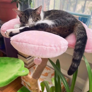 Cherry Blossom Dos Flower Cat Tree & Tower, Large, Pink, Kbspets – KBSPETS