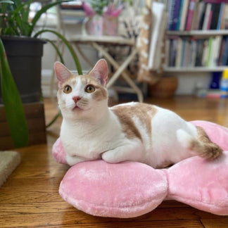 Cherry Blossom Dos Flower Cat Tree & Tower, Large, Pink, Kbspets – KBSPETS
