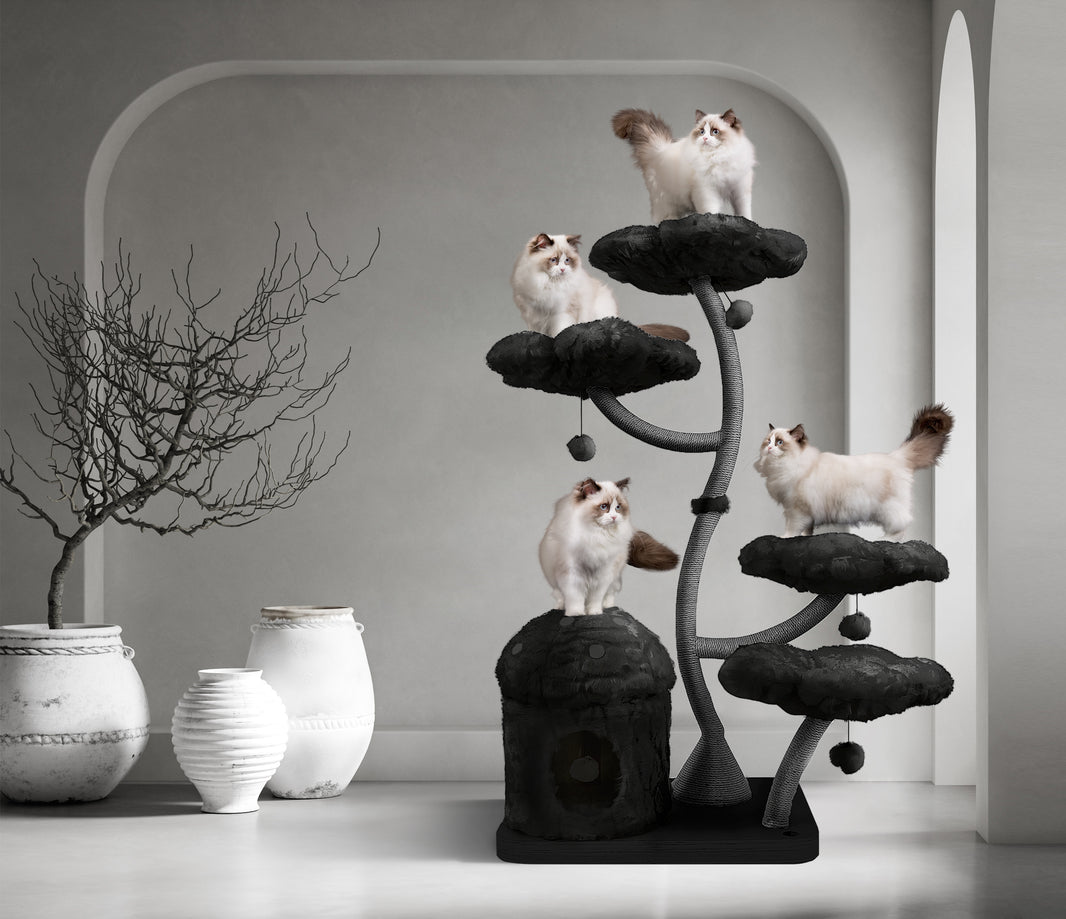 Teddy Blanc Secret Garden - KBS Floral Cat Mansion – KBSPETS